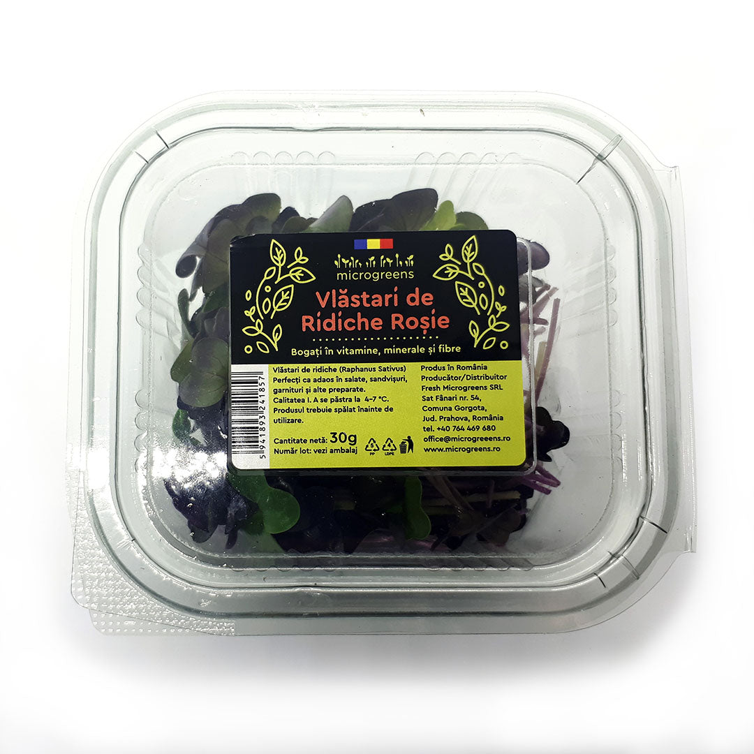 Vlăstari de Ridiche roșie – Microgreens